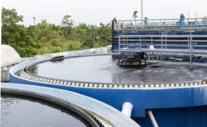 Bio Culture for STP: Benefits, Dosage, and Application Process